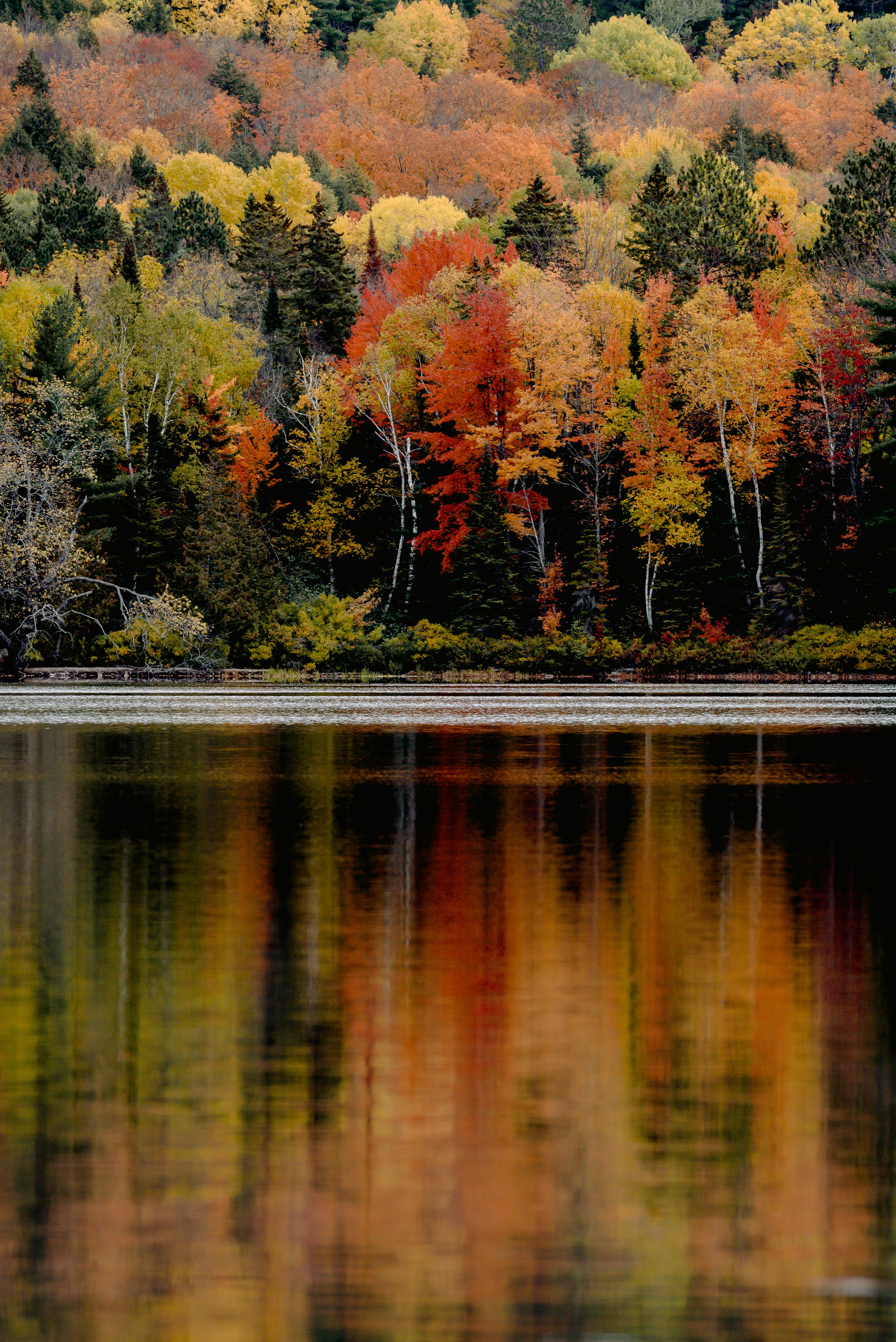 Sebago Lake Fall Foliage Guide | Best Scenic Overlooks, Hikes & Photo ...