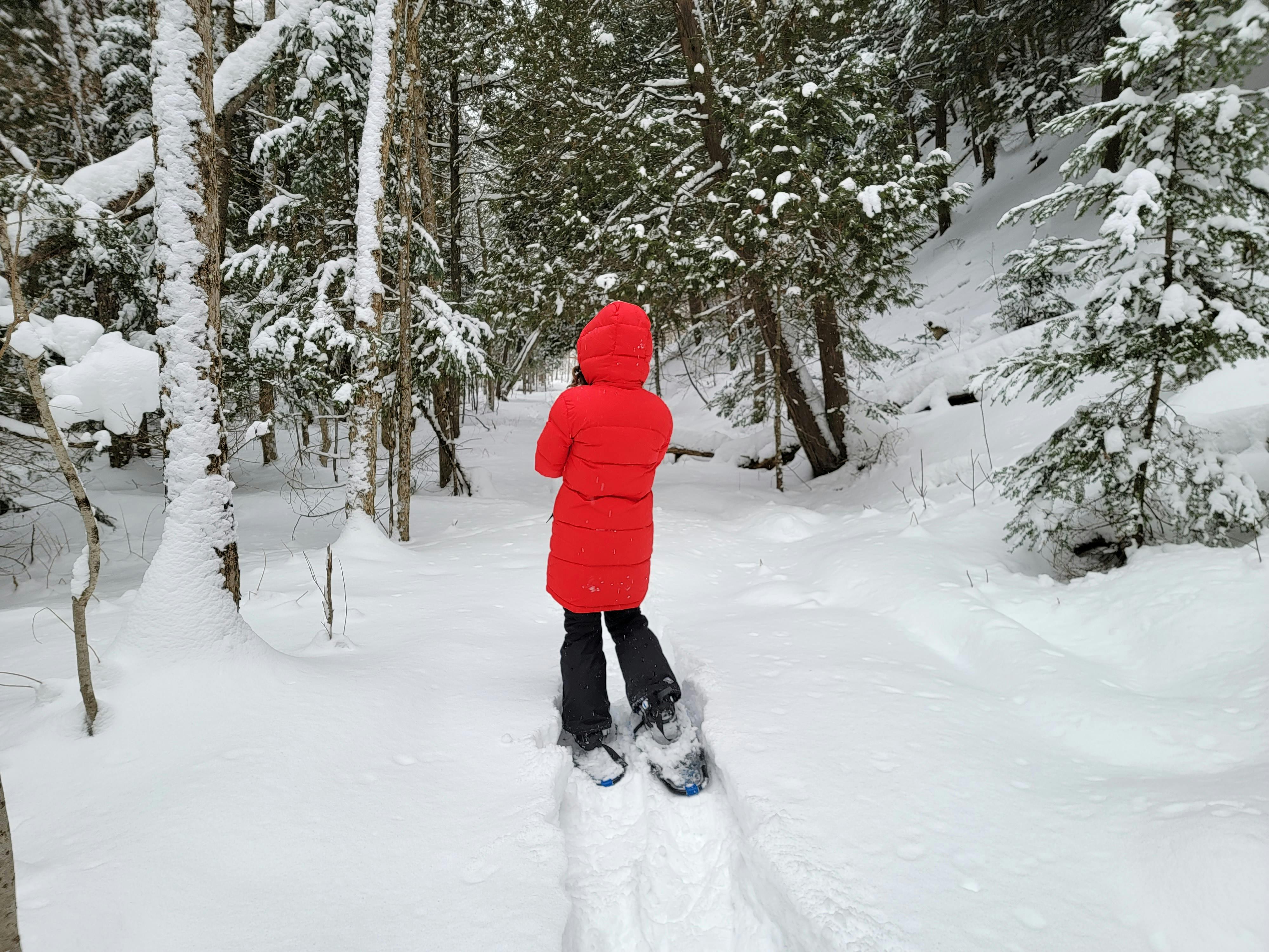 Embrace Winter Fun: Join the Lake Region Nature Playgroup